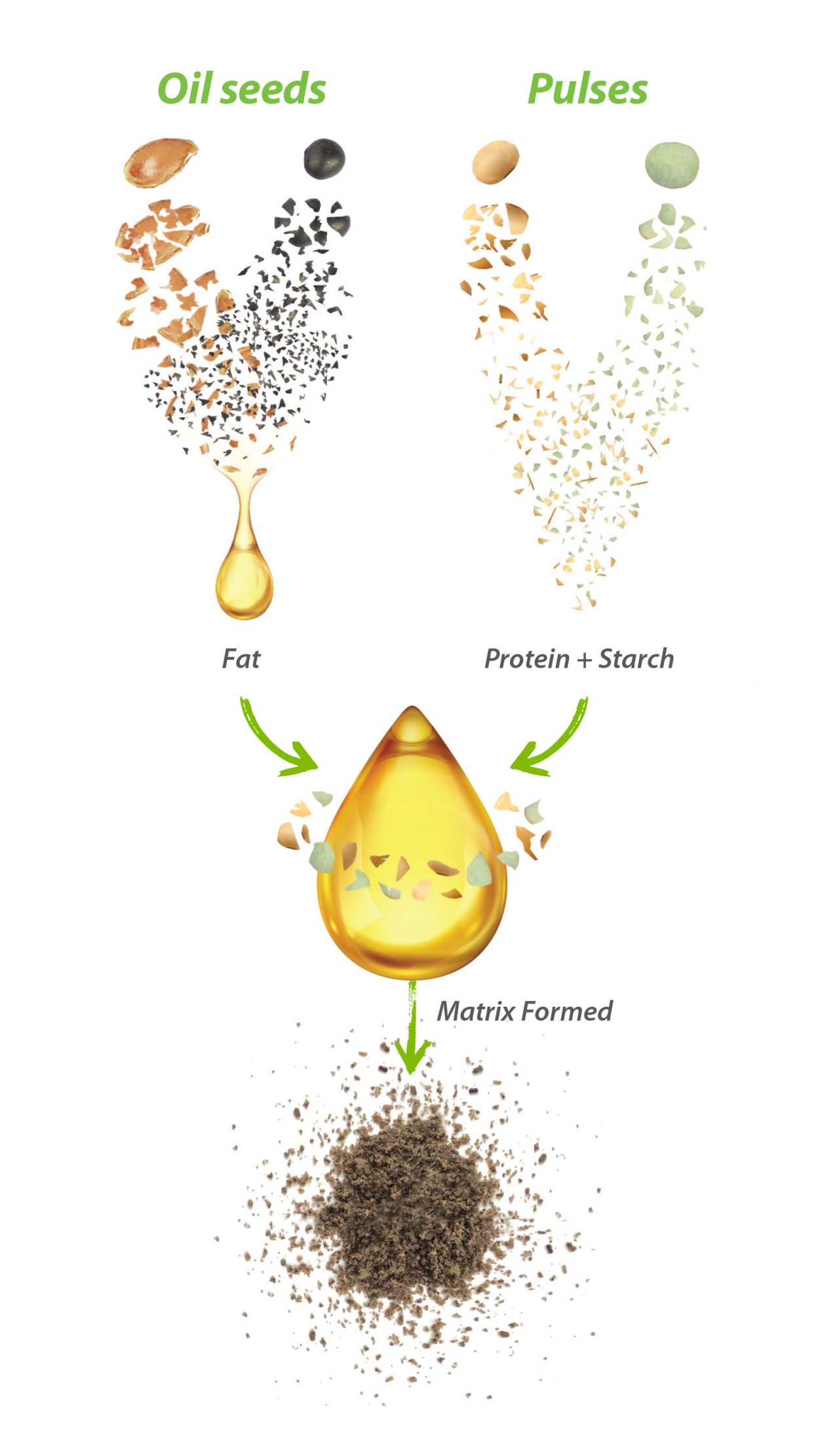 linPRO-24 - O&T Farms