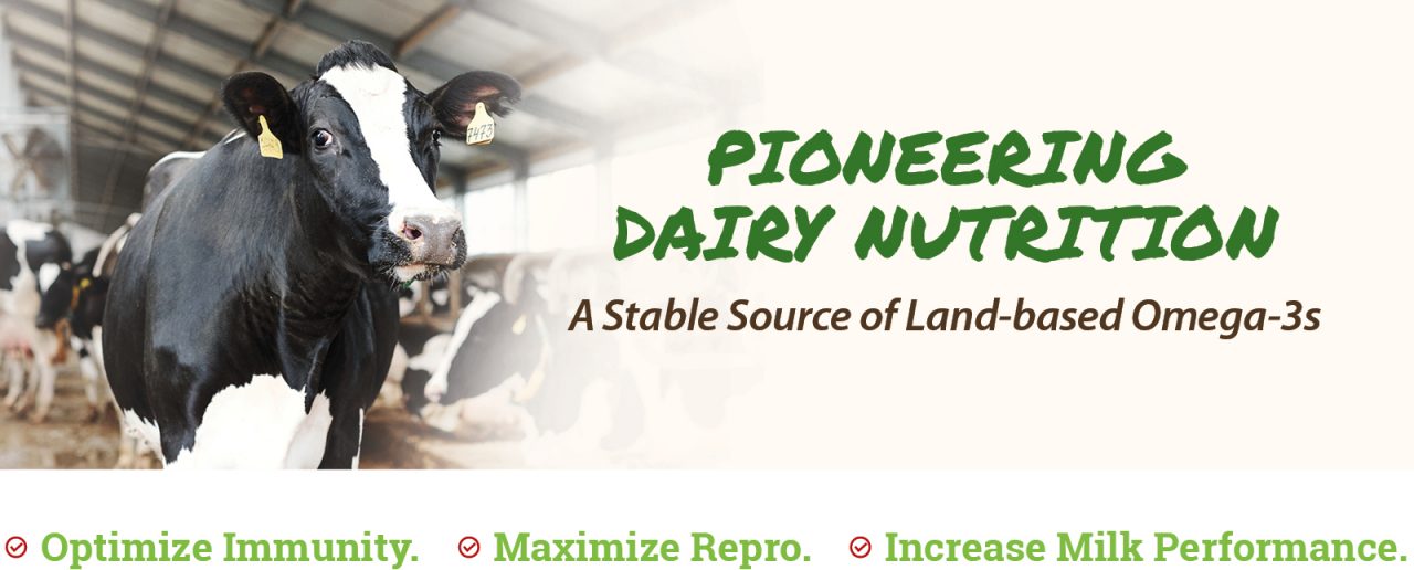 Optimize Dairy Cow Health and Performance with LinPRO-R - O&T Farms Optimize Dairy Cow Health and Performance with LinPRO-R - O&T Farms